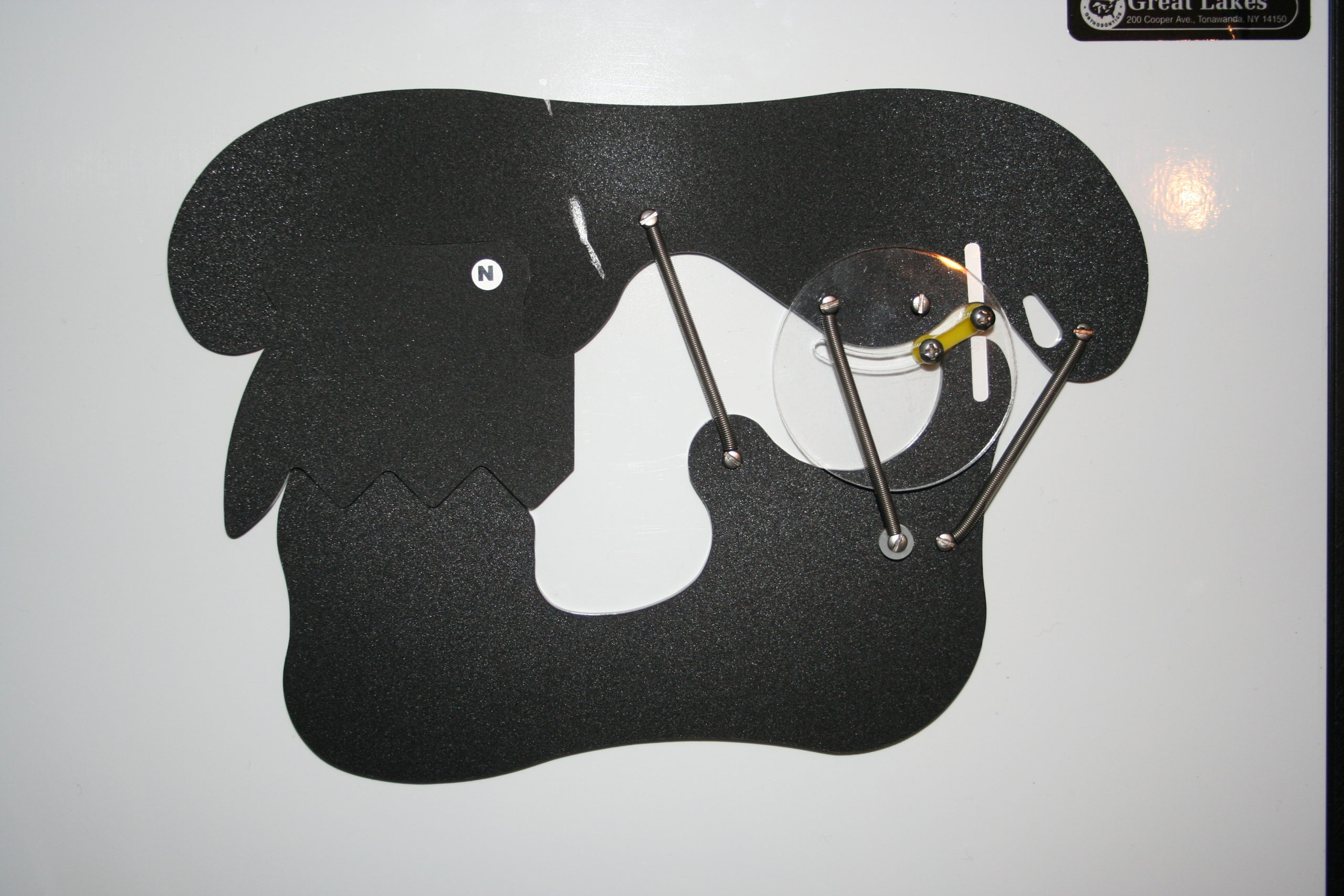 Dual Bite - Raleigh Facial Pain