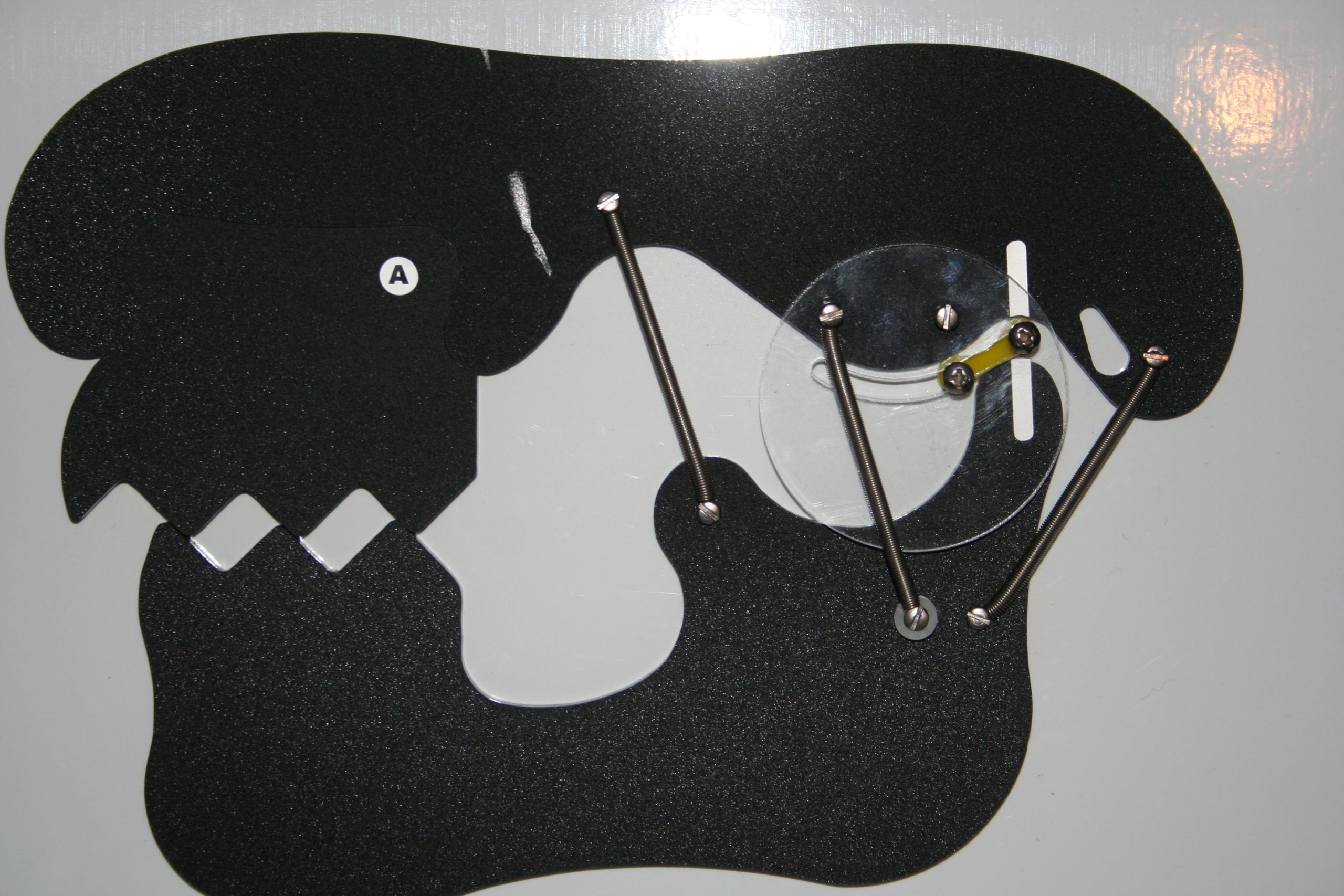 Dual Bite - Raleigh Facial Pain